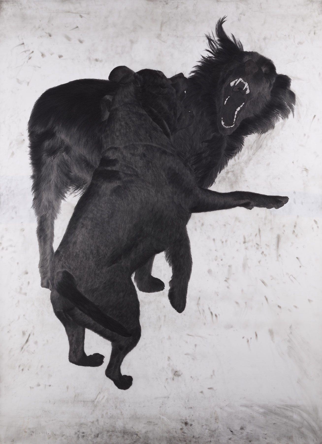 Lucienne Rickard – Beaver Galleries