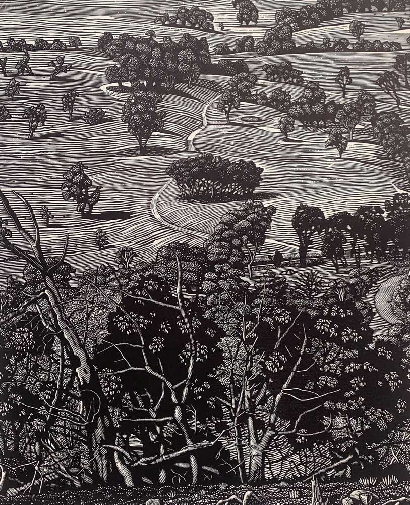 David Frazer | Beaver Galleries