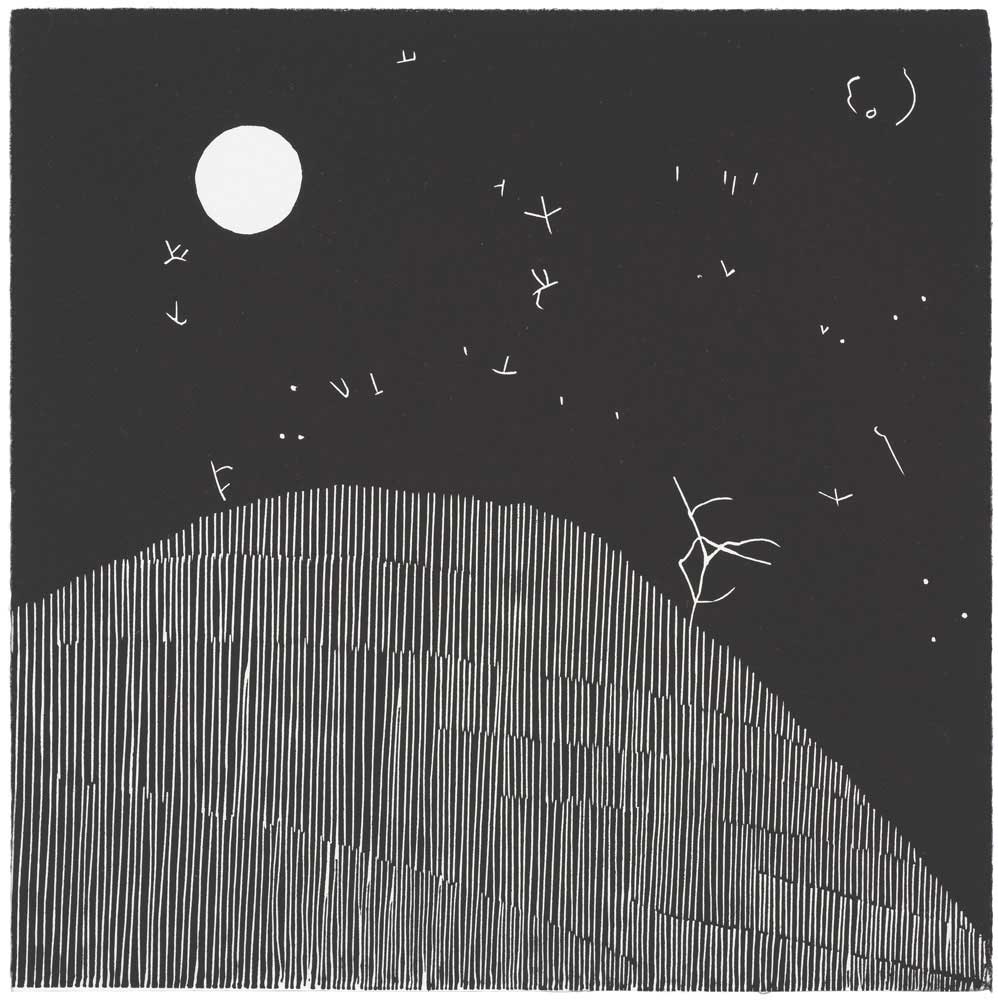 GW Bot | Beaver Galleries