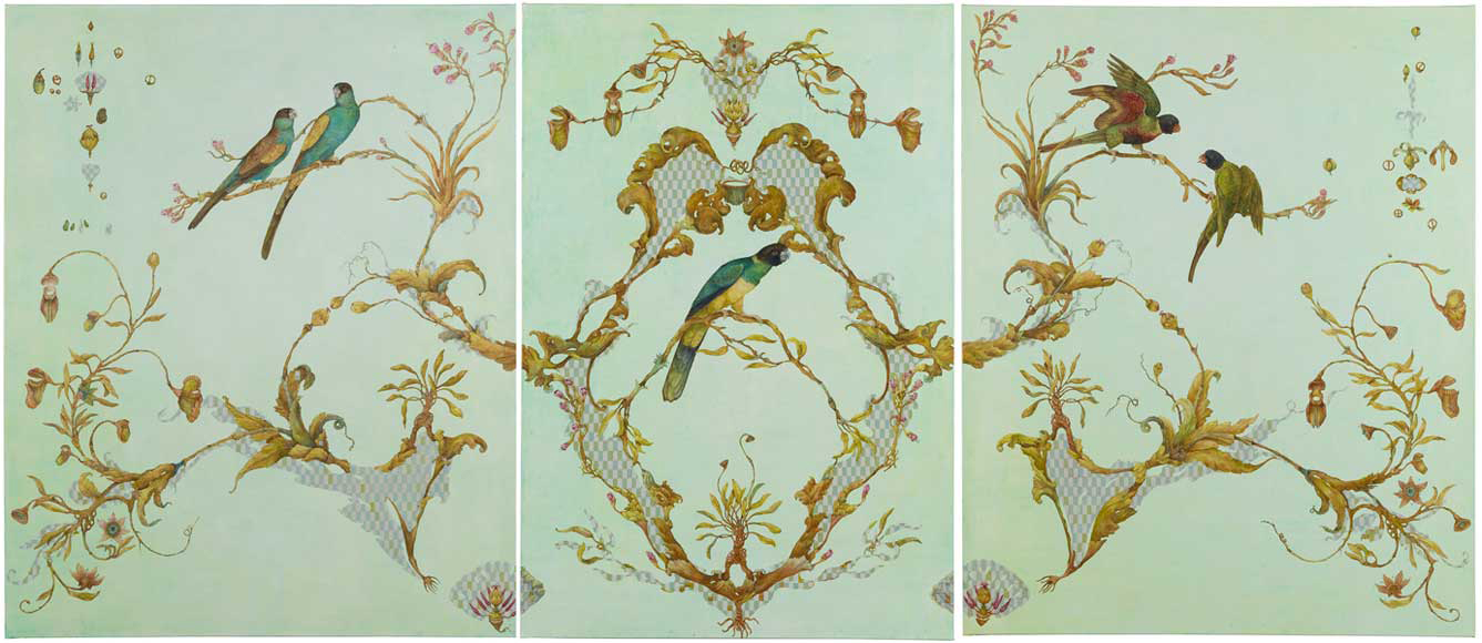 Voyagers’ tales: Ferdinand Bauer | Beaver Galleries