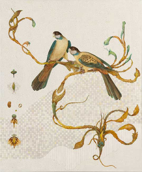 Voyagers’ tales: Ferdinand Bauer | Beaver Galleries